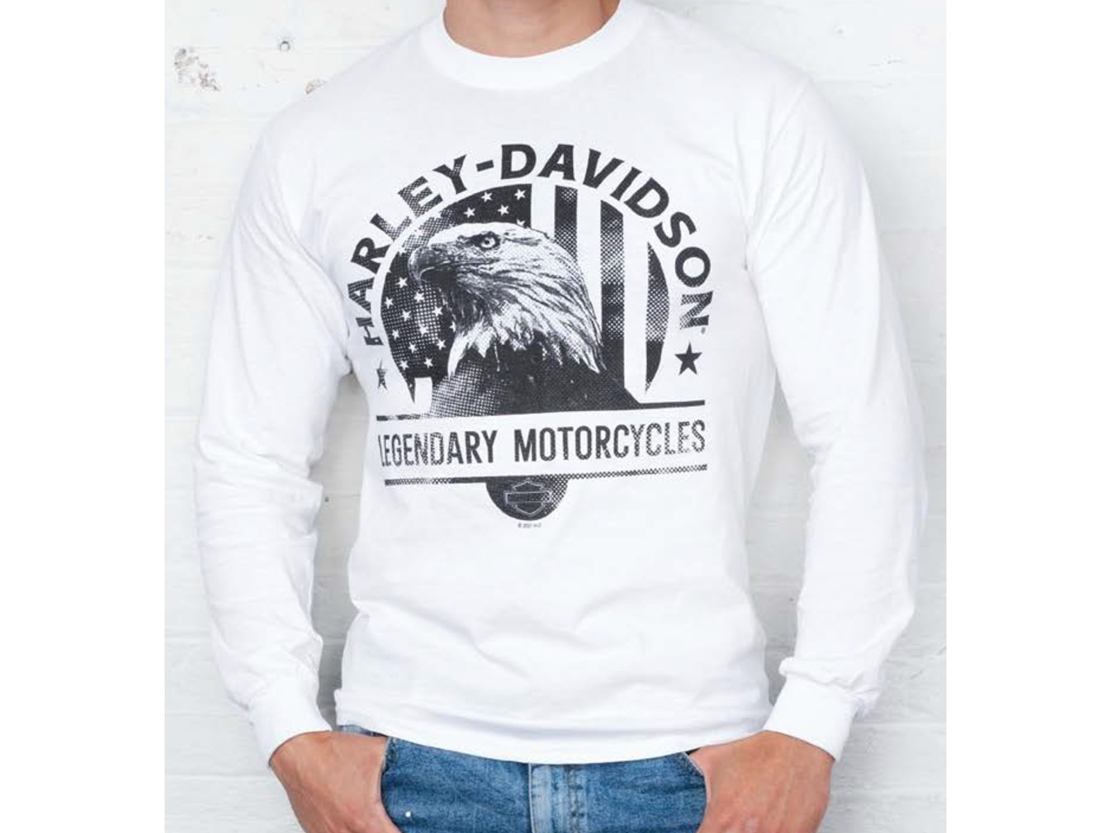 Freebird Eagle – Longsleeve – weiß – Tough Stuff Rückenaufdruck klein