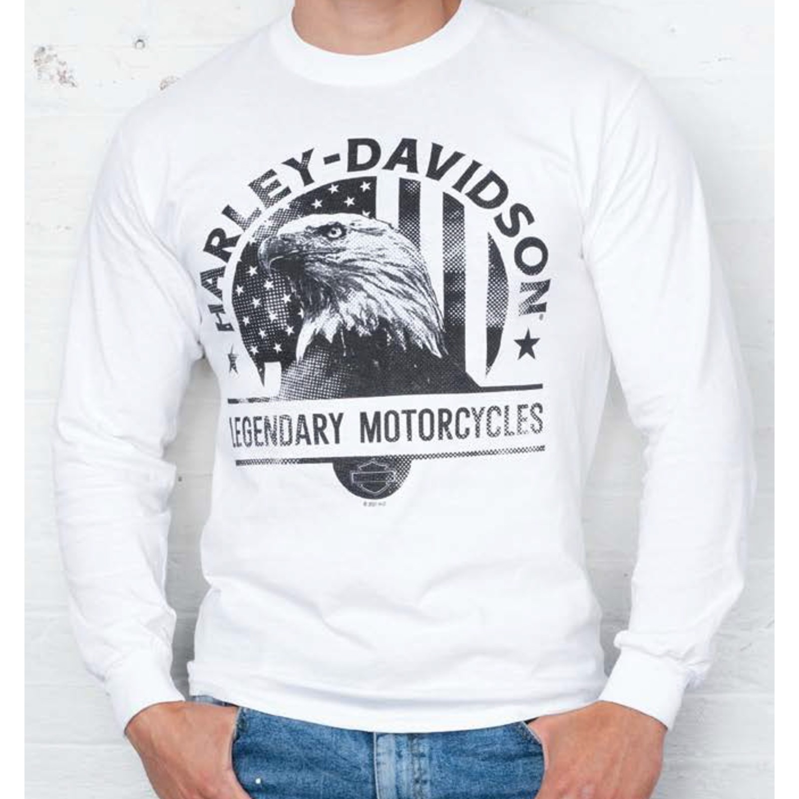 Freebird Eagle – Longsleeve – weiß – Tough Stuff Rückenaufdruck klein