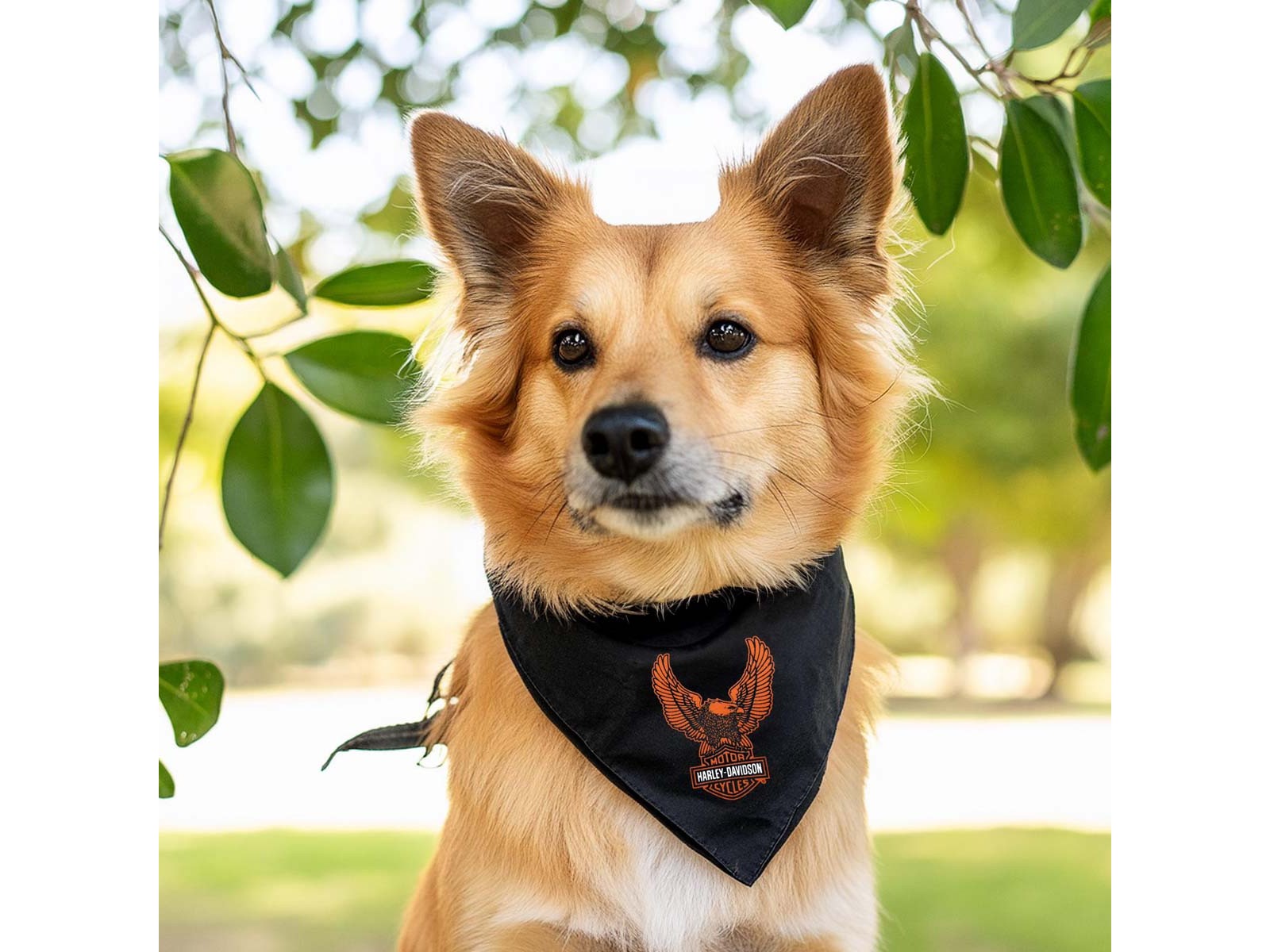 Harley-Davidson Pet "B&S Eagle Pet Bandana" HDX-90217,-218