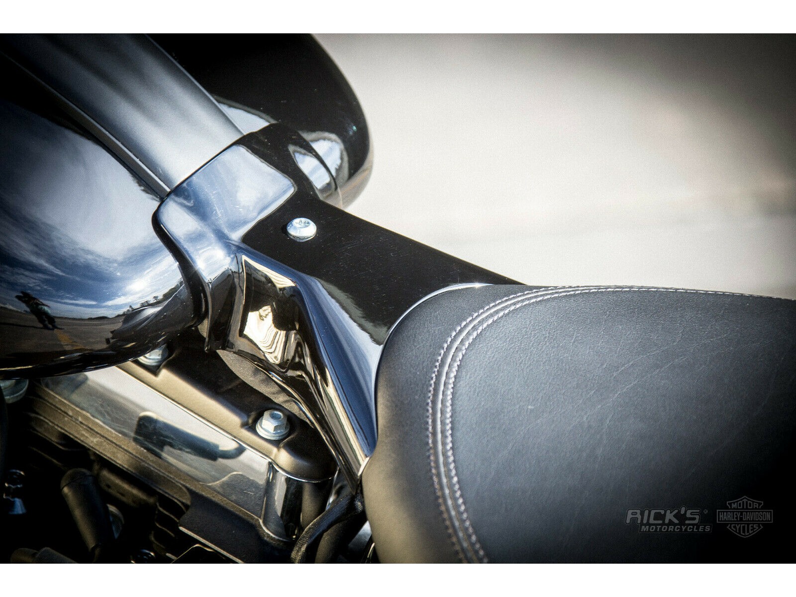 Rick's Motorcycles rear fender Softail Twin Cam up to 2017