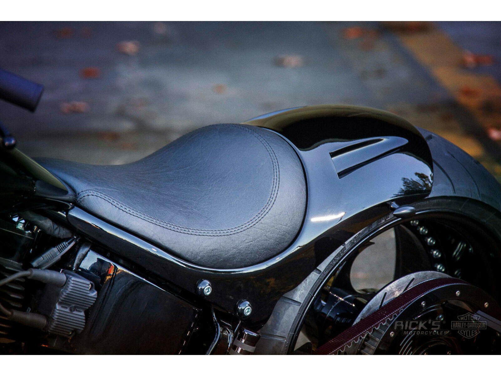 Rick's Motorcycles Twin Cam Softail rear mudguard Short Cut