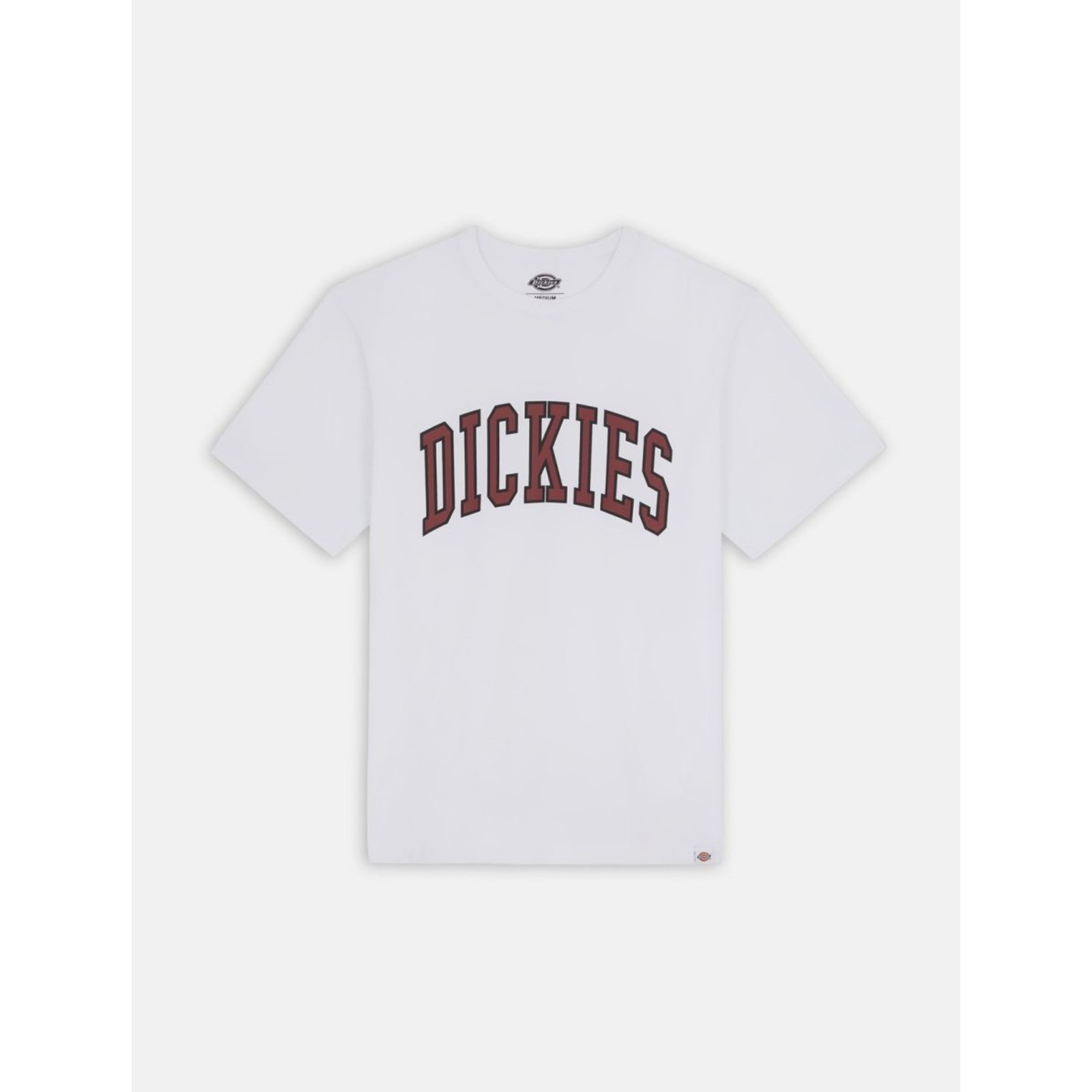 Dickies Men "Aitkin Chester SS" T-shirt