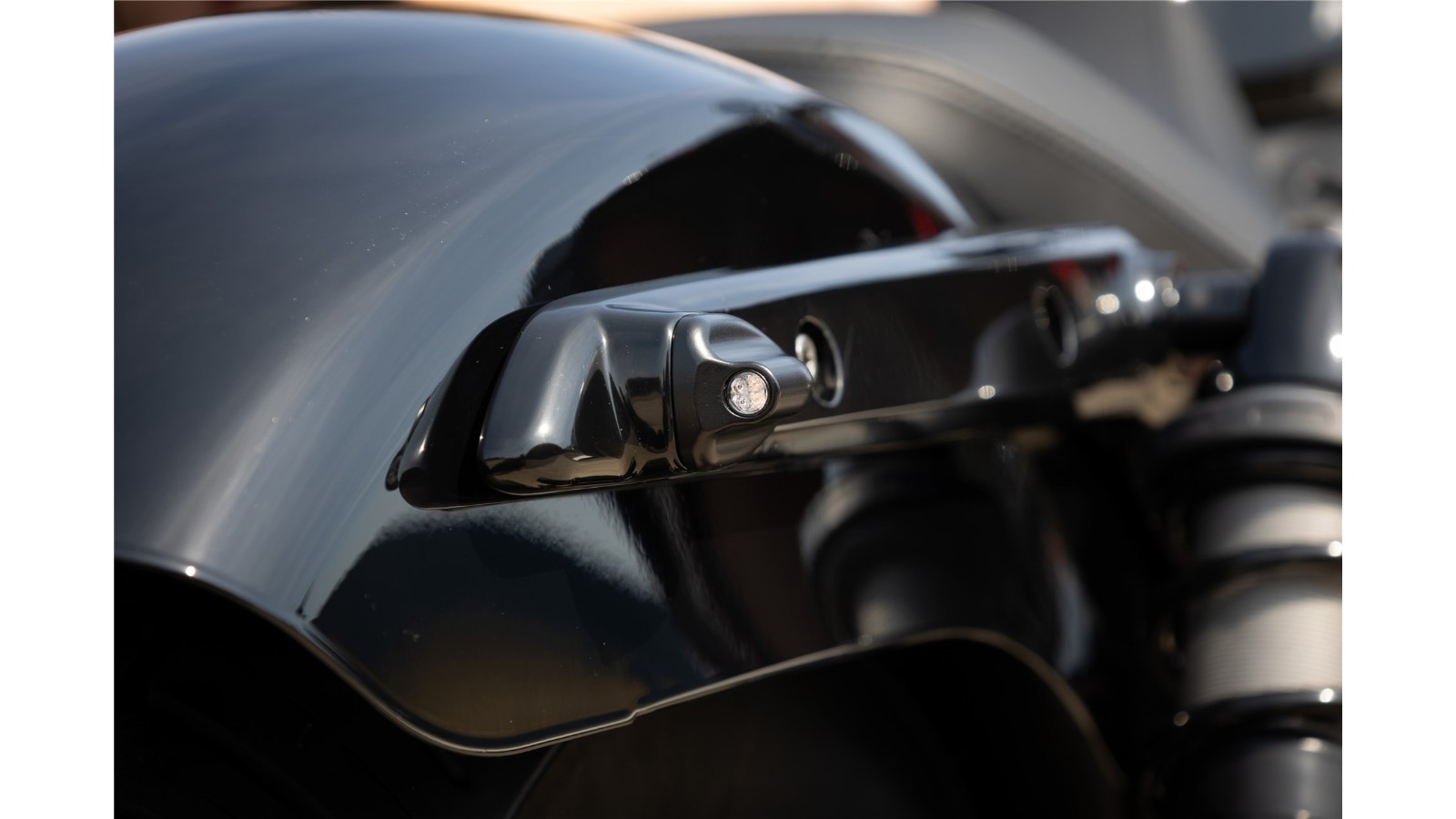 Rick´s Motorcycle Nightster Blinkerhalter hinten