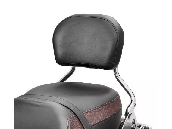 Air Wing pillion back cushion
