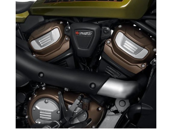 Harley-Davidson Adversary camshaft sprocket medallion