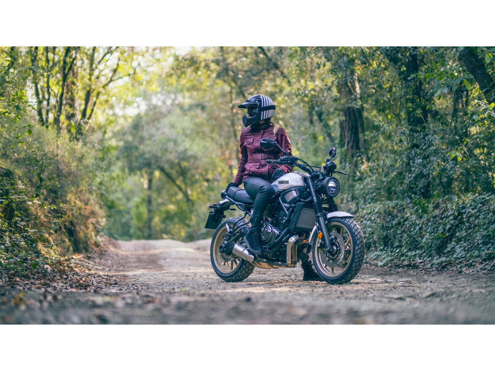 XSR-700 Legacy (MJ2024 TZ)