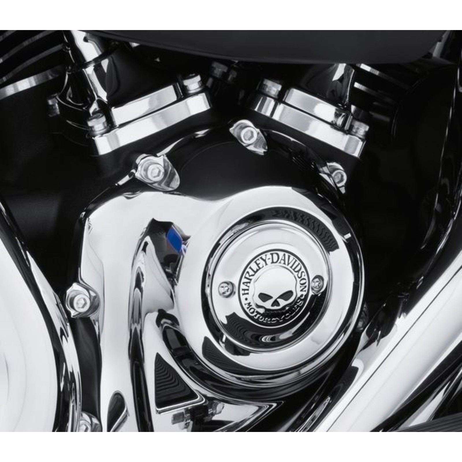 Skull Kollektion Timer Cover